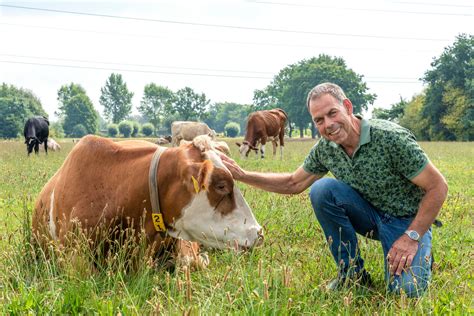 Bio Melkveehouder Jack Verhulst ‘ik Wil Het Beste Voor Mens En Dier Foto Ad Nl