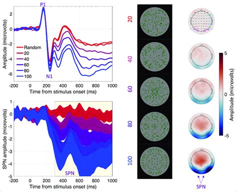 The Sustained Posterior Negativity SPN The Grand Average ERPs Are Download Scientific