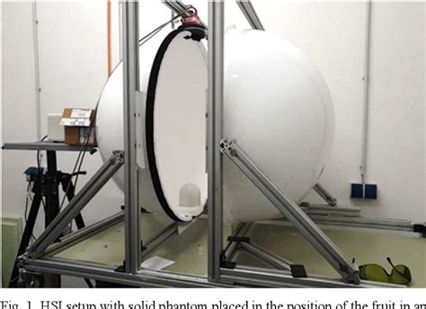 Figure 1 From Hyperspectral Imaging Based Monitoring Of Apple Fruit In Storage And Shelf Life