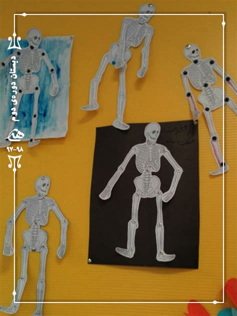 ساخت دست سازه‎ی اسکلت