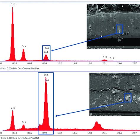 Left Cross Section Sem Micrographs For The Psf Zno Bone Airbrushed