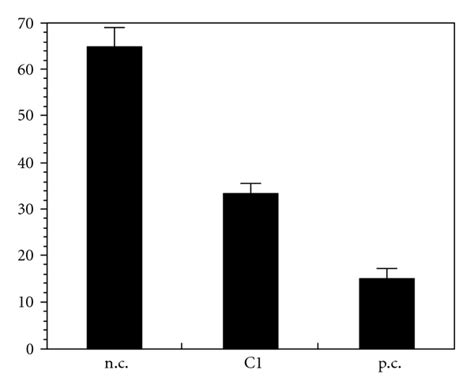 Prothrombin Time Assay Pt Assay Was Performed For Determination Of