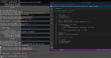 Pwn TryHackMe CTF Write Up Vvelitkn