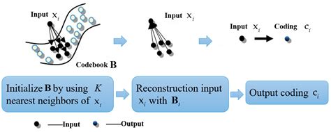 Patch Definition Coding At Mary Collins Blog