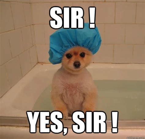 Sir Yes Sir Memes Quickmeme