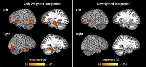 Weighted And Unweighted Integration Maps Of Fmri And Meg Activity
