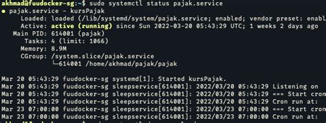 create systemd service for go application akhmad