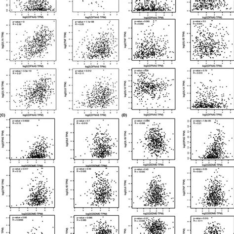 Pyroptosis Acts As A Bridge Between Immune System And Tumor Pyroptosis