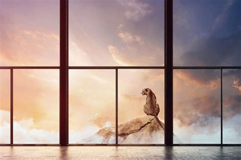 Pilkington Launches Mirai Low Carbon Glass Glass And Glass Processing