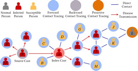 The Contact Tracing Network Showing How Various Dct Strategies Can Be