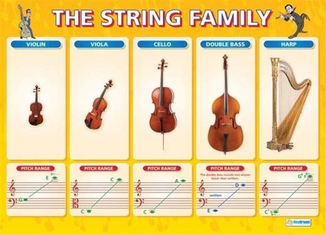 Unit Meet The Orchestra Music Class