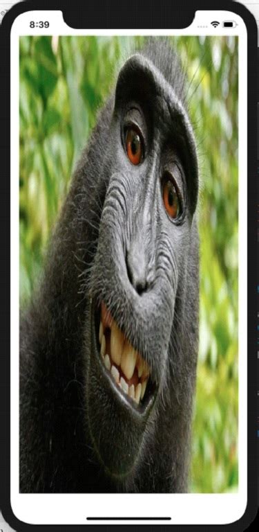 How To Resize An UIImageView Using Swift