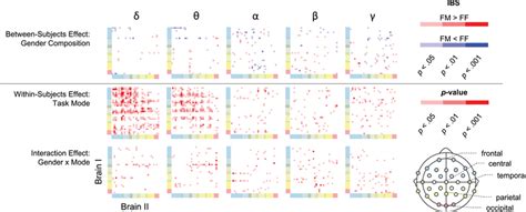Effects Of Task Mode And Gender Composition On Interbrain Synchrony Download Scientific Diagram
