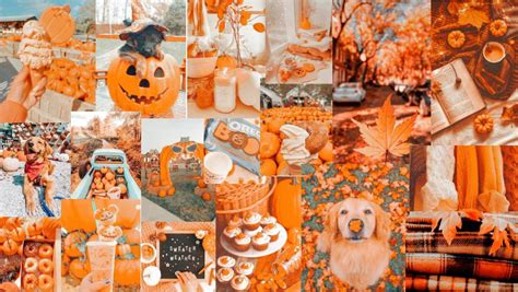 Preppy Halloween Background For Fall