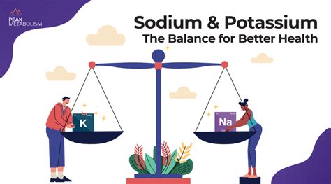 Understanding Triglyceride To Hdl Ratios For Optimal Heart Health Peak Metabolism