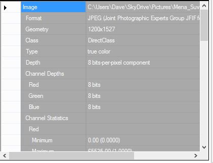 Winforms C Gridview Remove Left Column Windows Forms Control Stack Overflow