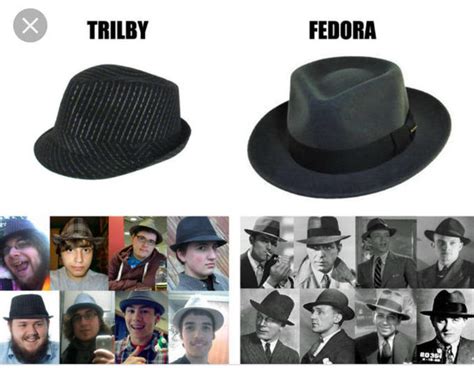 Know The Difference It Will Save Your Life Fedora Shaming Know Your Meme