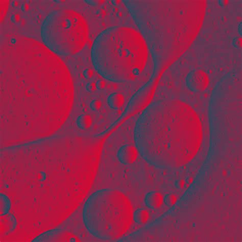 Dow Scientists Develop A Novel Polyethylene Architecture