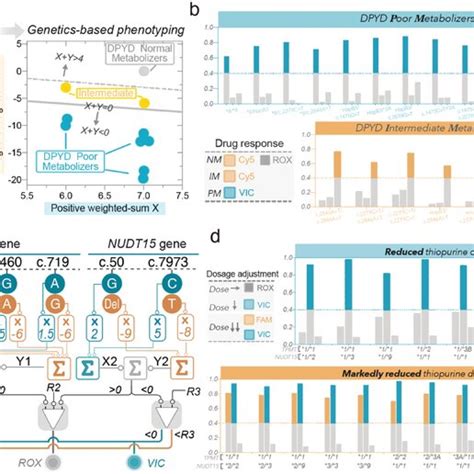 Reprogramming The Dna Decoding Circuit For Precision Medicine A The Download Scientific
