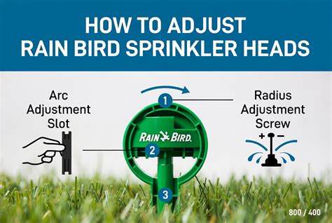 How To Adjust Rain Bird Sprinkler Heads Garden Cure
