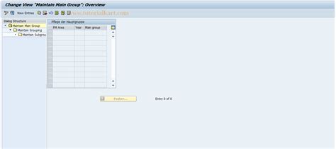 FMGR SAP Tcode Maintain Texts For Grouping