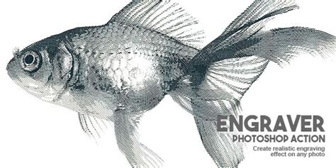 Animated Parallax Double Exposure Photoshop Action