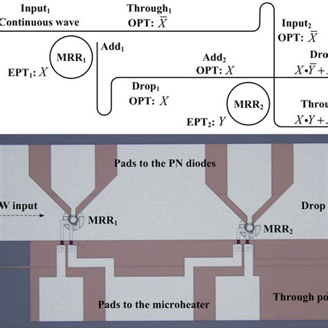 Pdf Xor And Xnor Operations At 125 Gbs Using Cascaded Carrier
