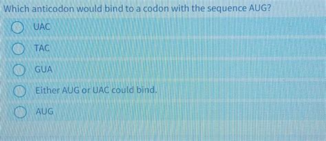 Solved Which Anticodon Would Bind To A Codon With The Sequence Aug Uac Tac Gua Either Aug Or