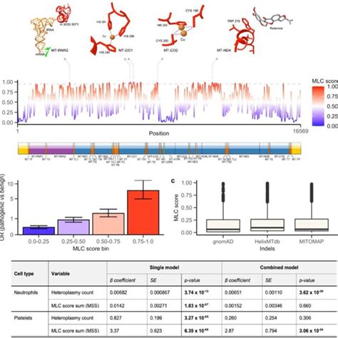 Assessment Of Mitochondrial Local Constraint Mlc Scores A The Mlc