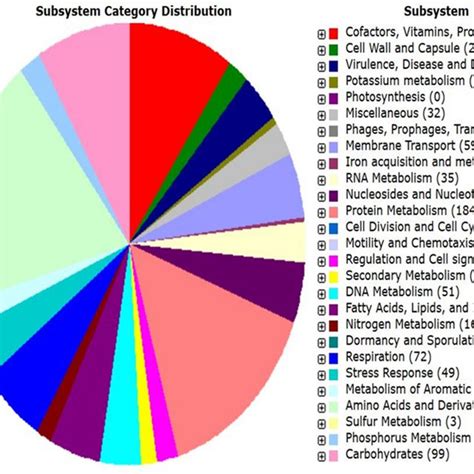 Schematic Overview Of Subsystem Coverage Subsystem Category Download Scientific Diagram
