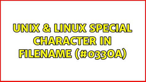 Unix And Linux Special Character In Filename 033oa 2 Solutions