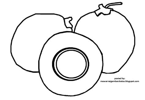 Mewarnai Gambar Mewarnai Gambar Sketsa Buah Kelapa 1