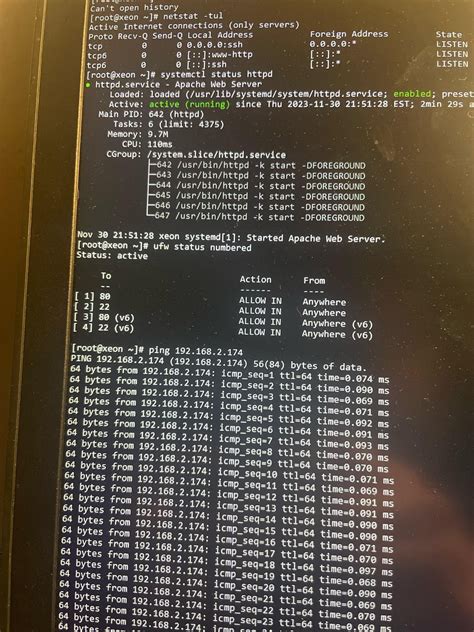why can i access my website through the host machine with domain ip