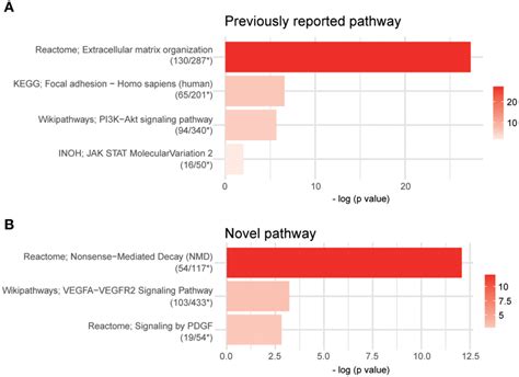 pathway analysis using over representation analysis from download