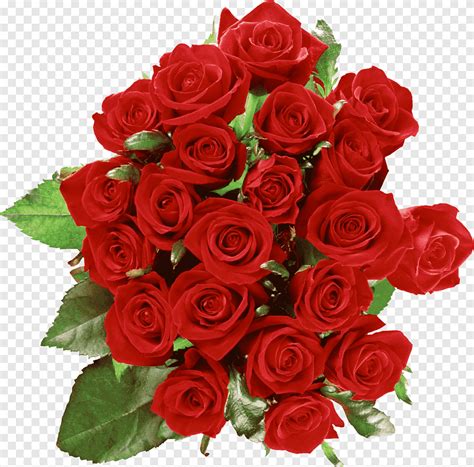 Rosas Png Pngegg