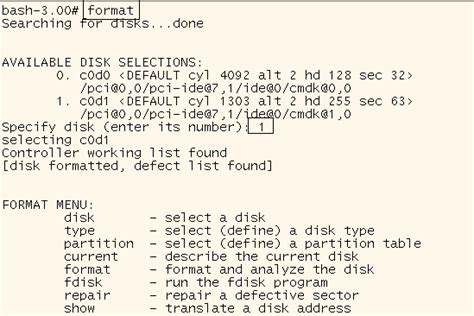 Section G Prepare Disk For Ocr Voting And Asm Storage