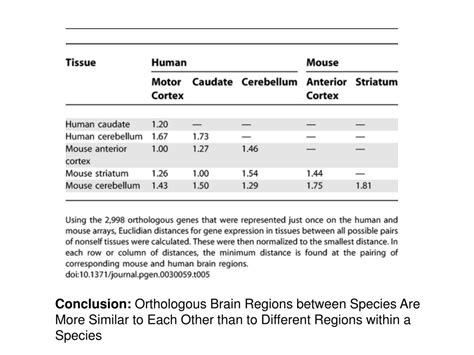 PPT Paper Review On Cross Species Microarray Comparison PowerPoint Presentation ID