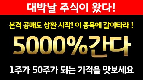 셀바스ai 이스트소프트 솔트룩스 플리토 주가전망 무조건 주목해야 할 세력이 지켜보는 주식 500 우습게 날아갈 수