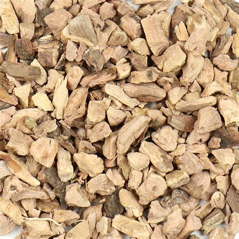 Red Root Lymphatic And Circulatory Support Nyc Herbs®