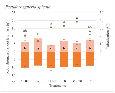 Response Of Sagebrush Steppe Grass Species To Amf Inoculum Sources And