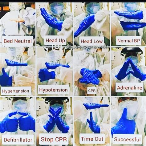 Dialysis Guide 👇👇👇 Instagram