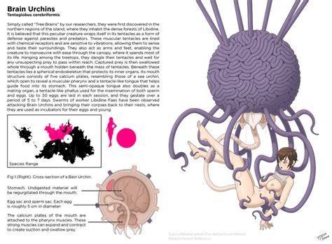 Rule 34 Bondage Breasts Out Egg Egg Implantation Egg Laying Professor