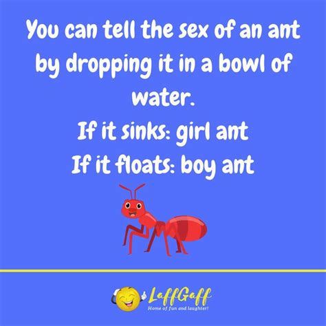 Funny Ant Sex Joke LaffGaff Home Of Laughter