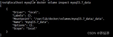 docker创建mysql5 7，并利用docker volumes（卷）进行持久化，附带mysql备份、迁移方法。 docker mysql