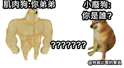 小廢狗 你是誰 肌肉狗 你弟弟