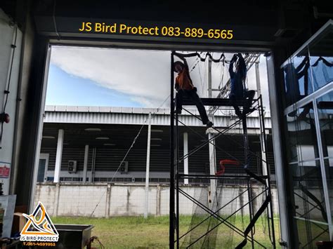 ไล่นกทุกชนิด By Js Bird ไล่นกทุกชนิด By Js Bird Protect