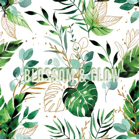 Wrap Pixie Wrap Pixie Added A New Photo — At Fsm Auto