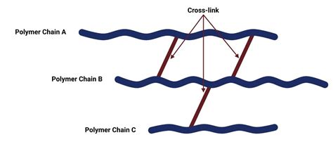 The Science Behind Rubber Walker Rubber