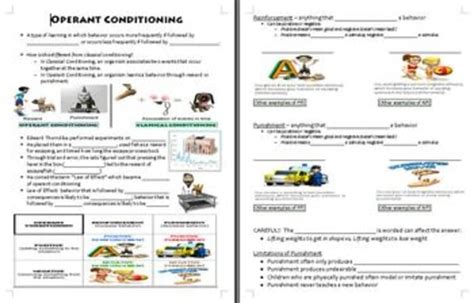 Operant Conditioning Powerpoint By Danis Marandis Tpt