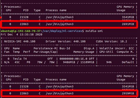 Extreme Memory Usage On Gpu Server When Using Flair Ner Model · Issue